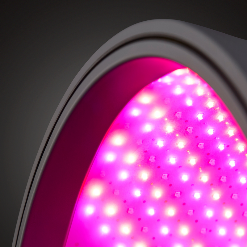 Dermalux Flex MD LED Light Therapy Device | CurrentBody USA